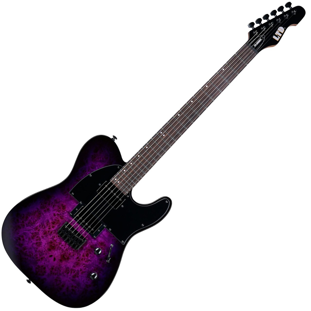 ESP LTD TE 200DX | Fuzz Bayonne